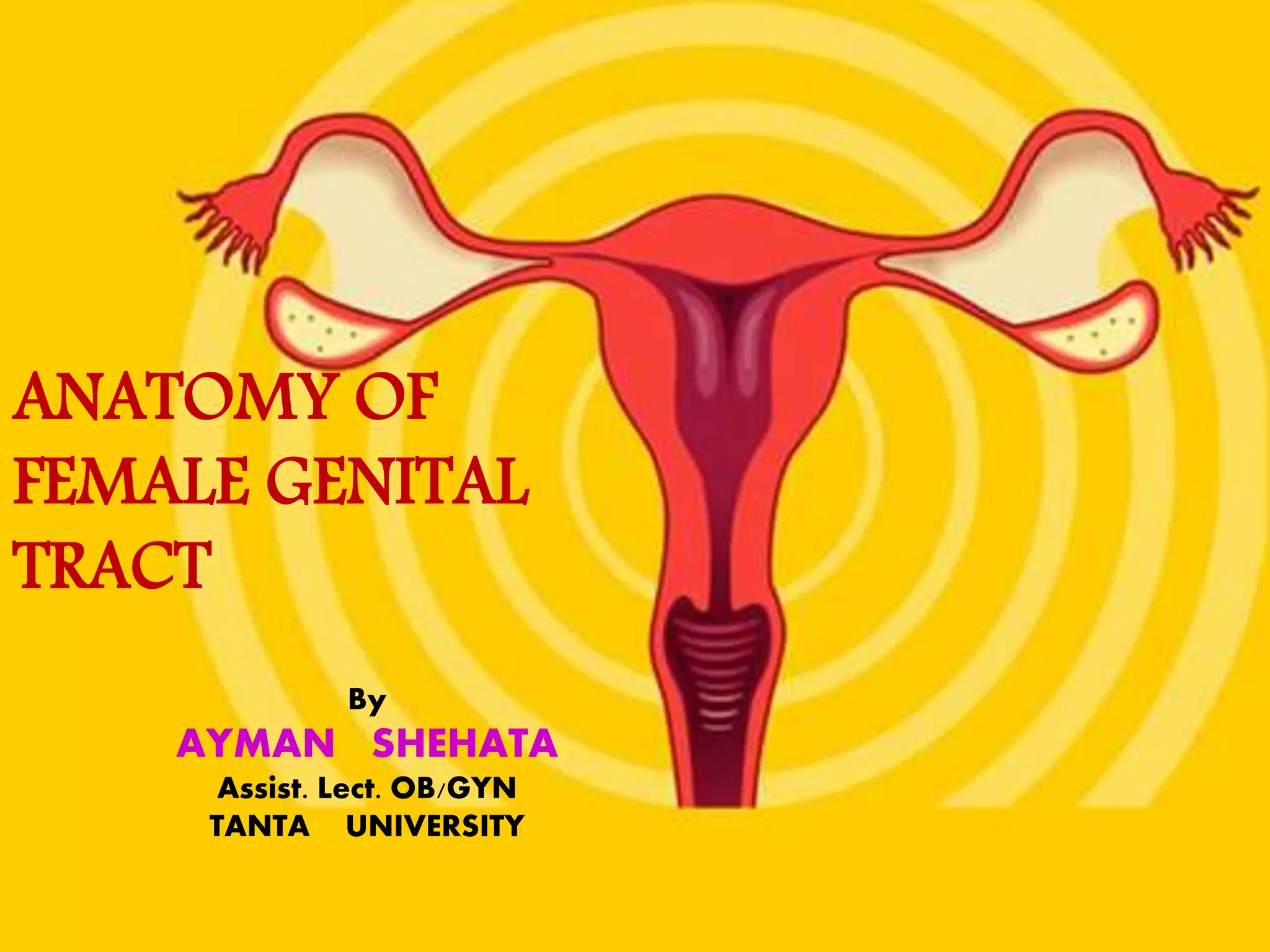 Anatomyof female genital tract | PPTX