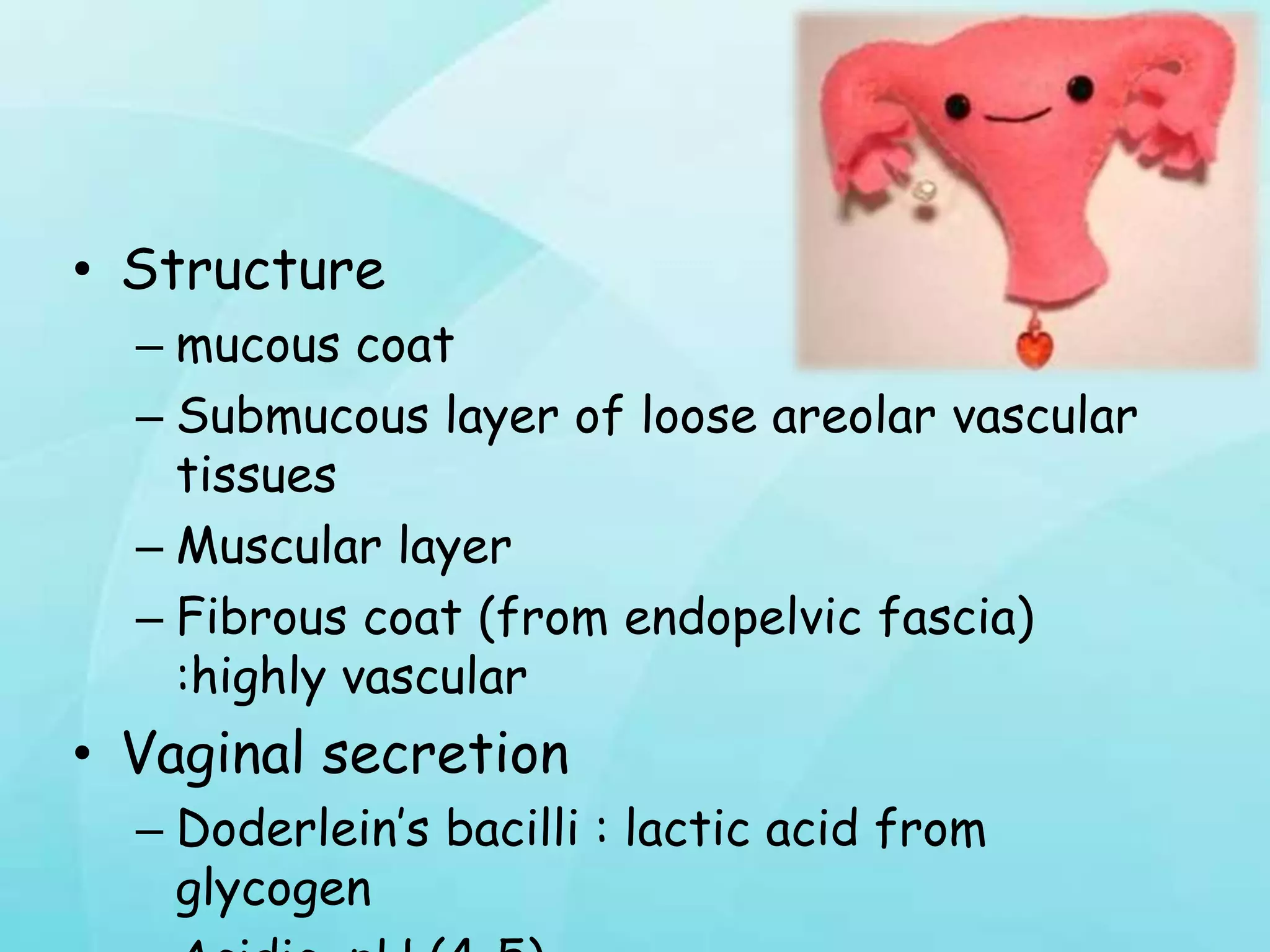 Anatomyof female genital tract | PPTX