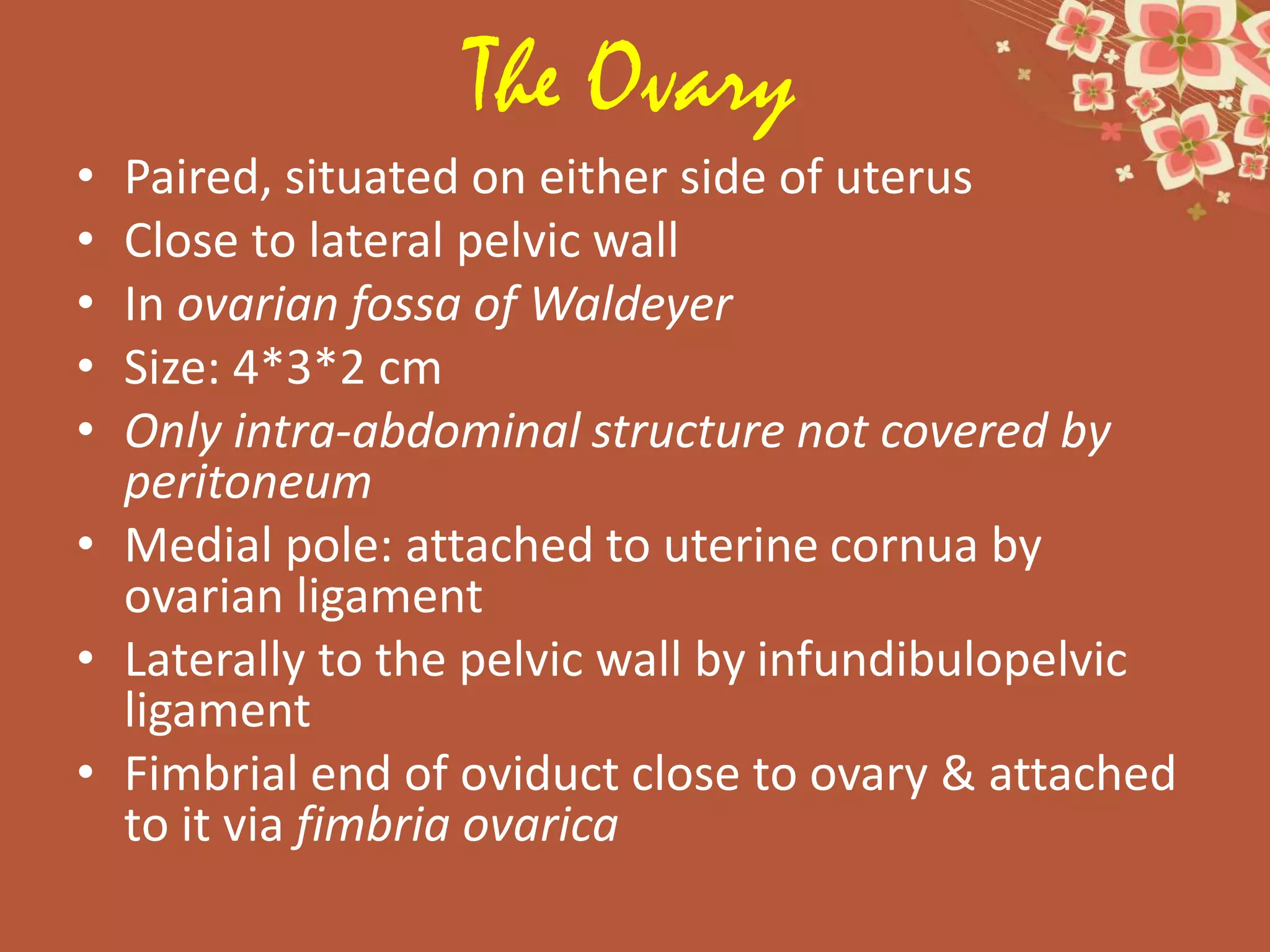 Anatomyof female genital tract | PPTX