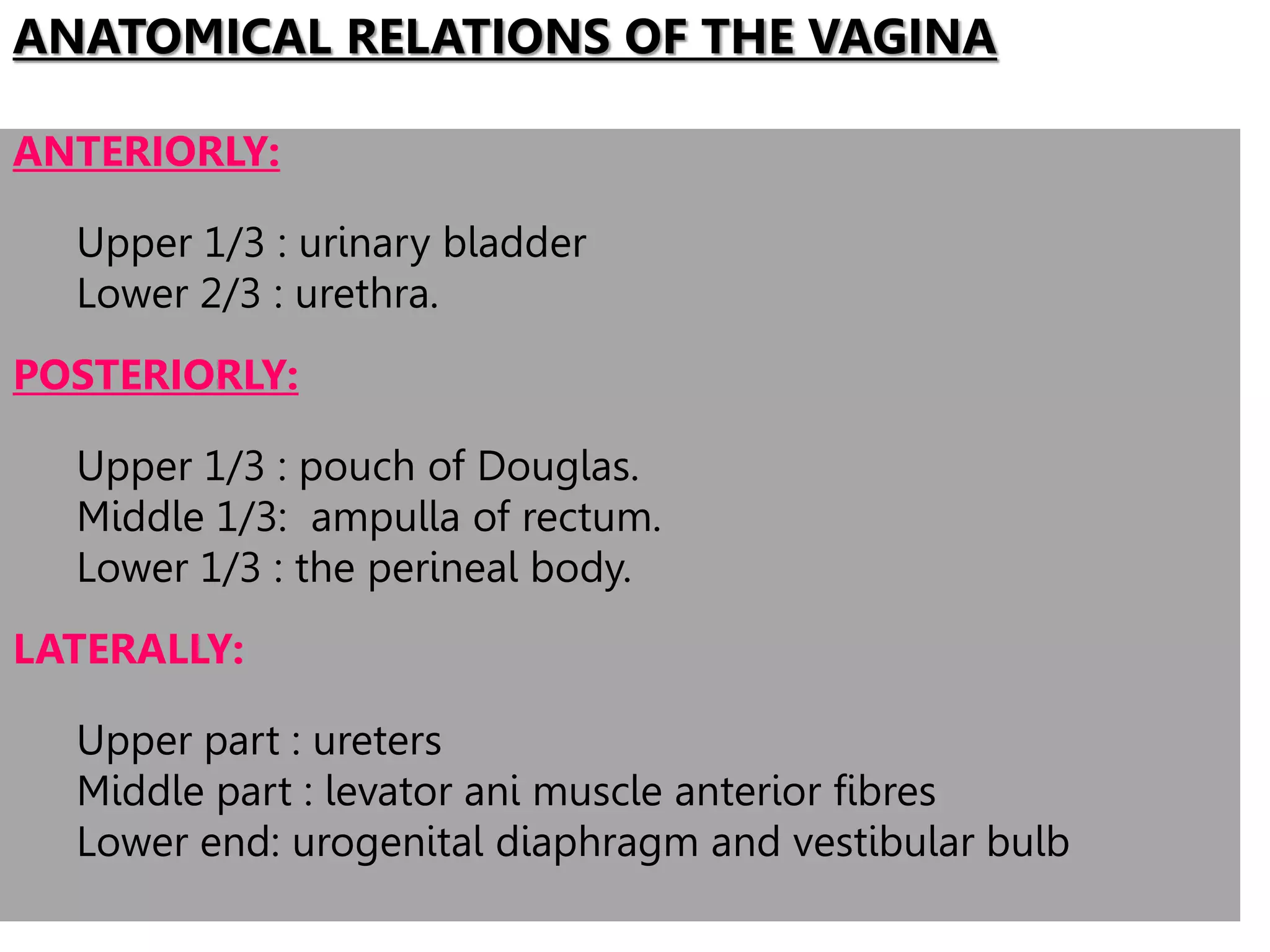 Anatomy of female genital tract | PPTX
