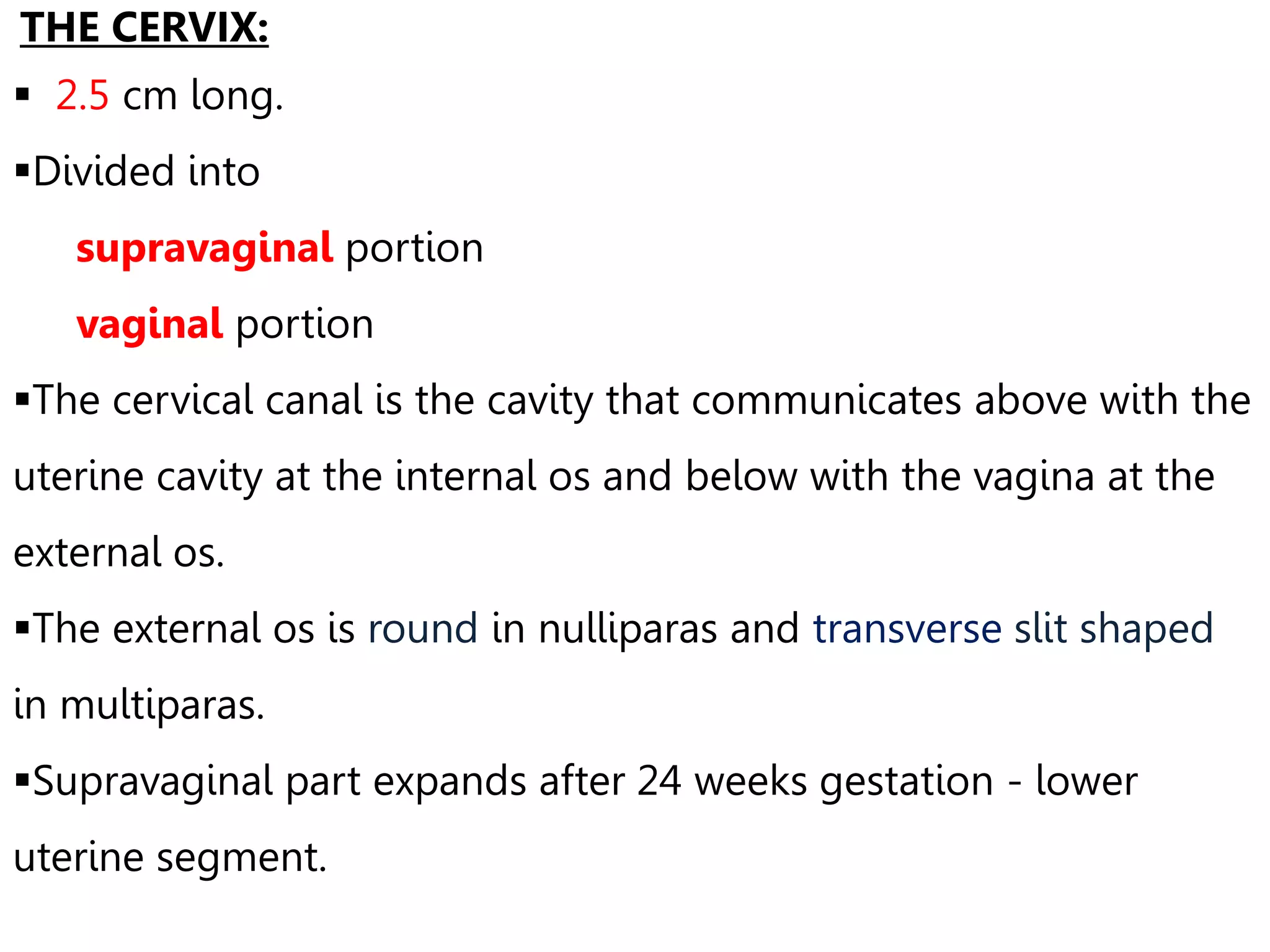 Anatomy of female genital tract | PPTX