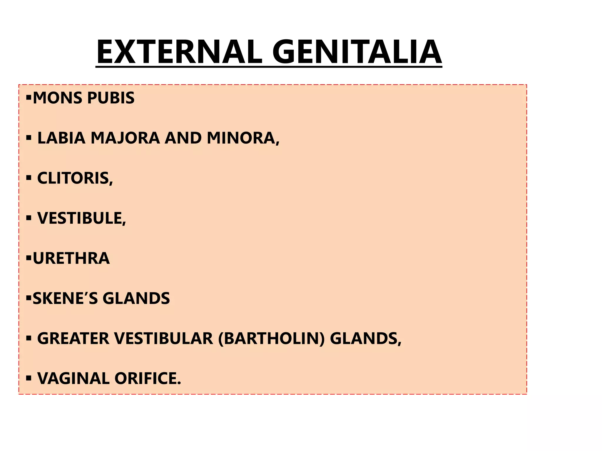 Anatomy of female genital tract | PPTX