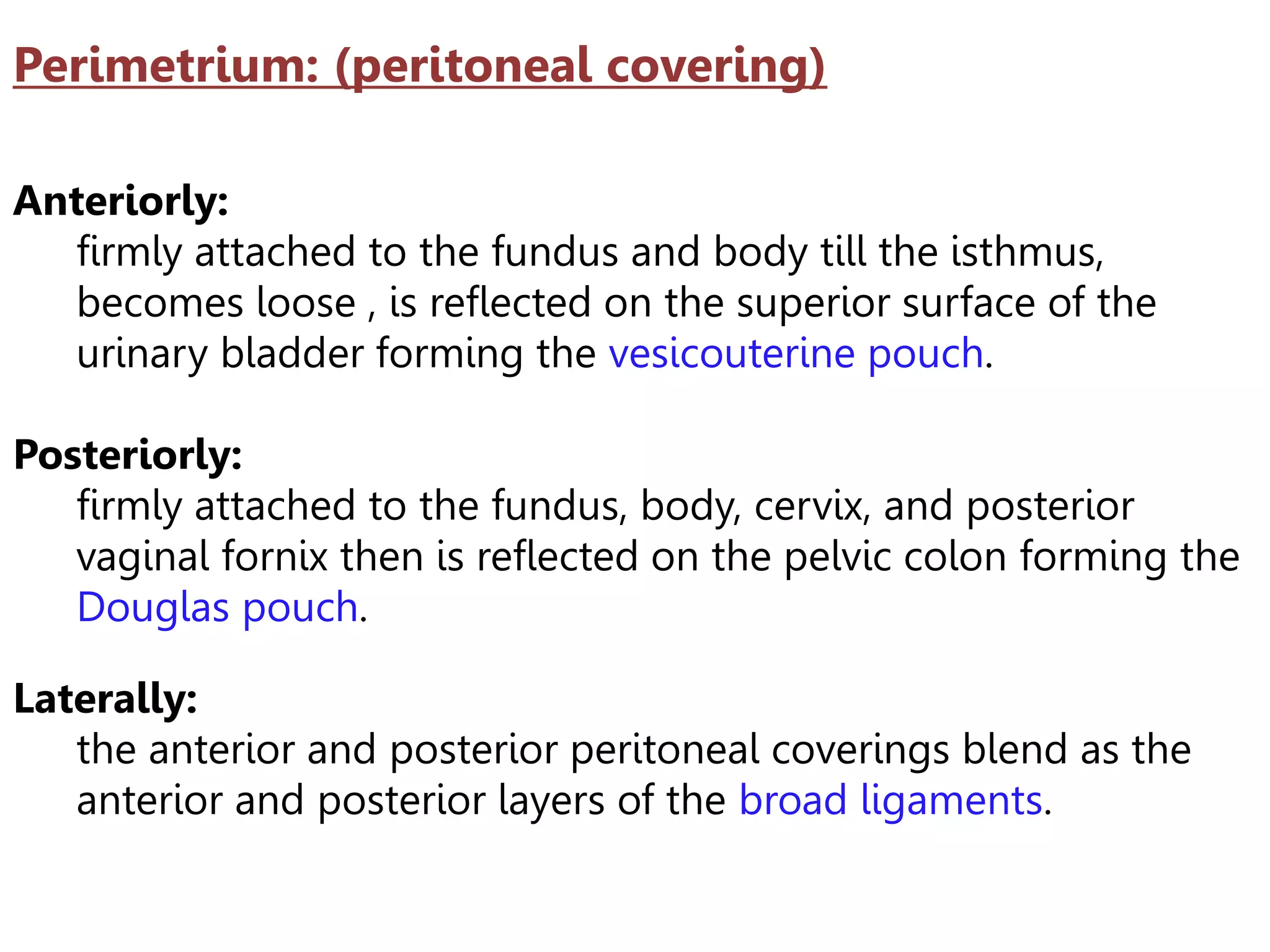 Anatomy of female genital tract | PPTX