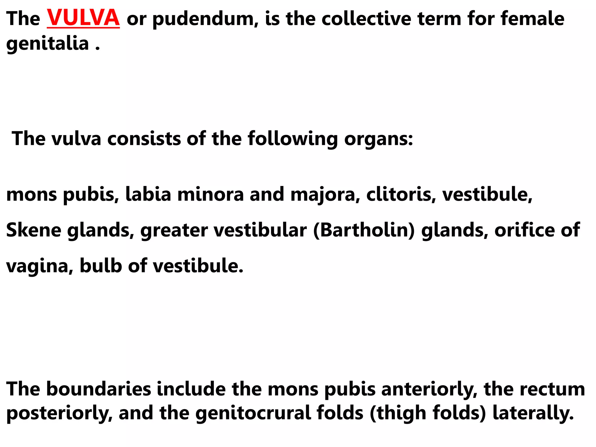 Anatomy of female genital tract | PPTX