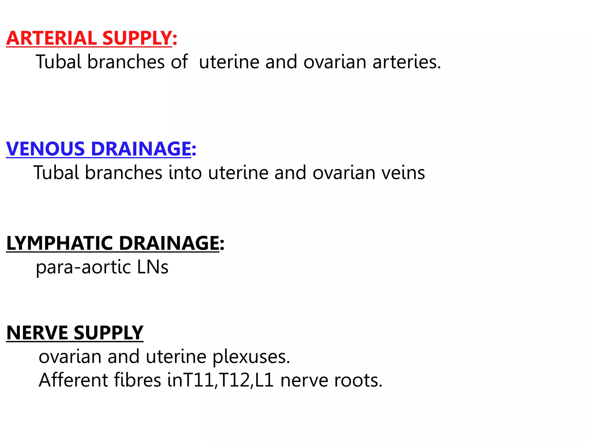 Anatomy of female genital tract | PPTX