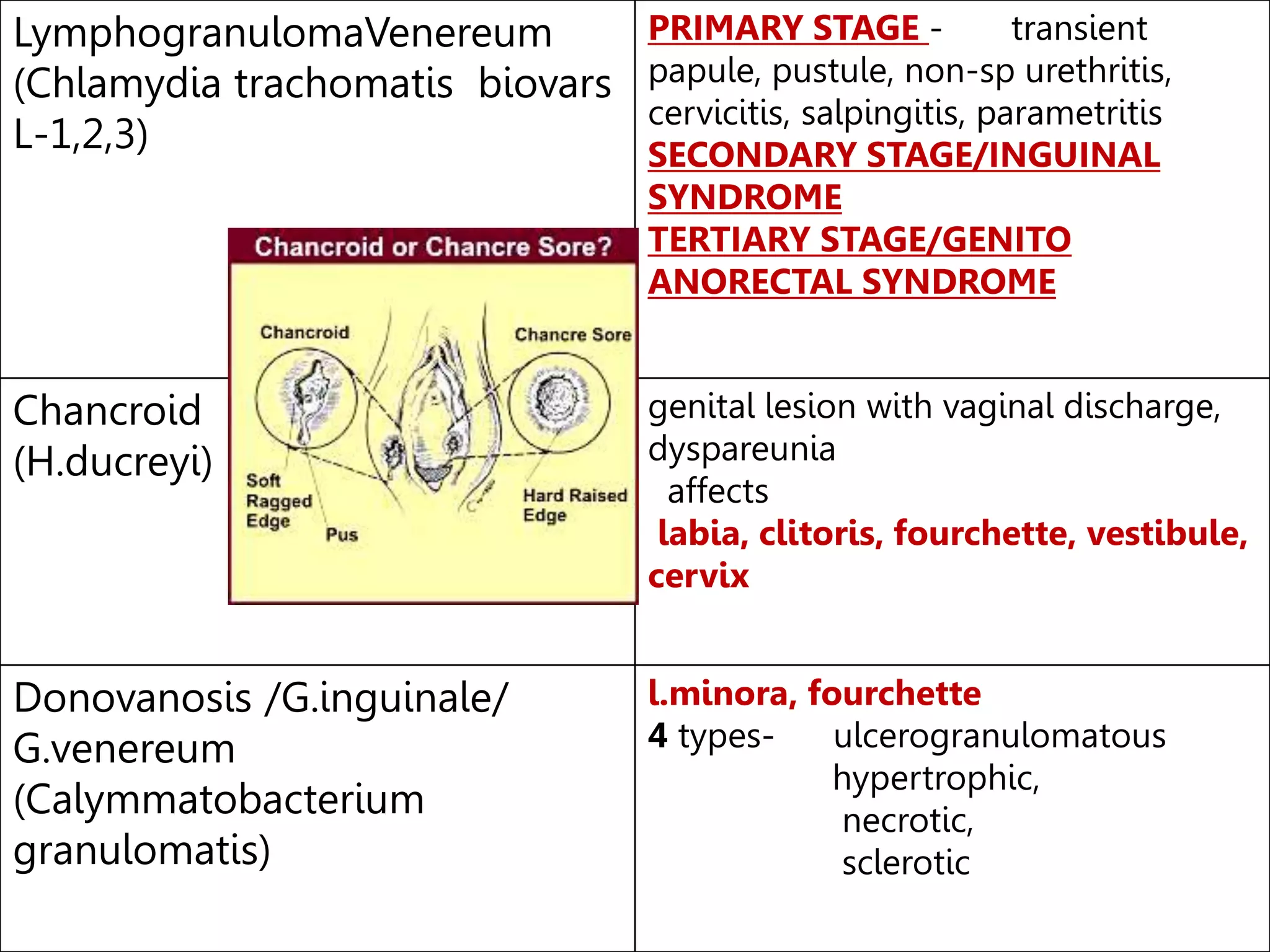 Anatomy of female genital tract | PPTX