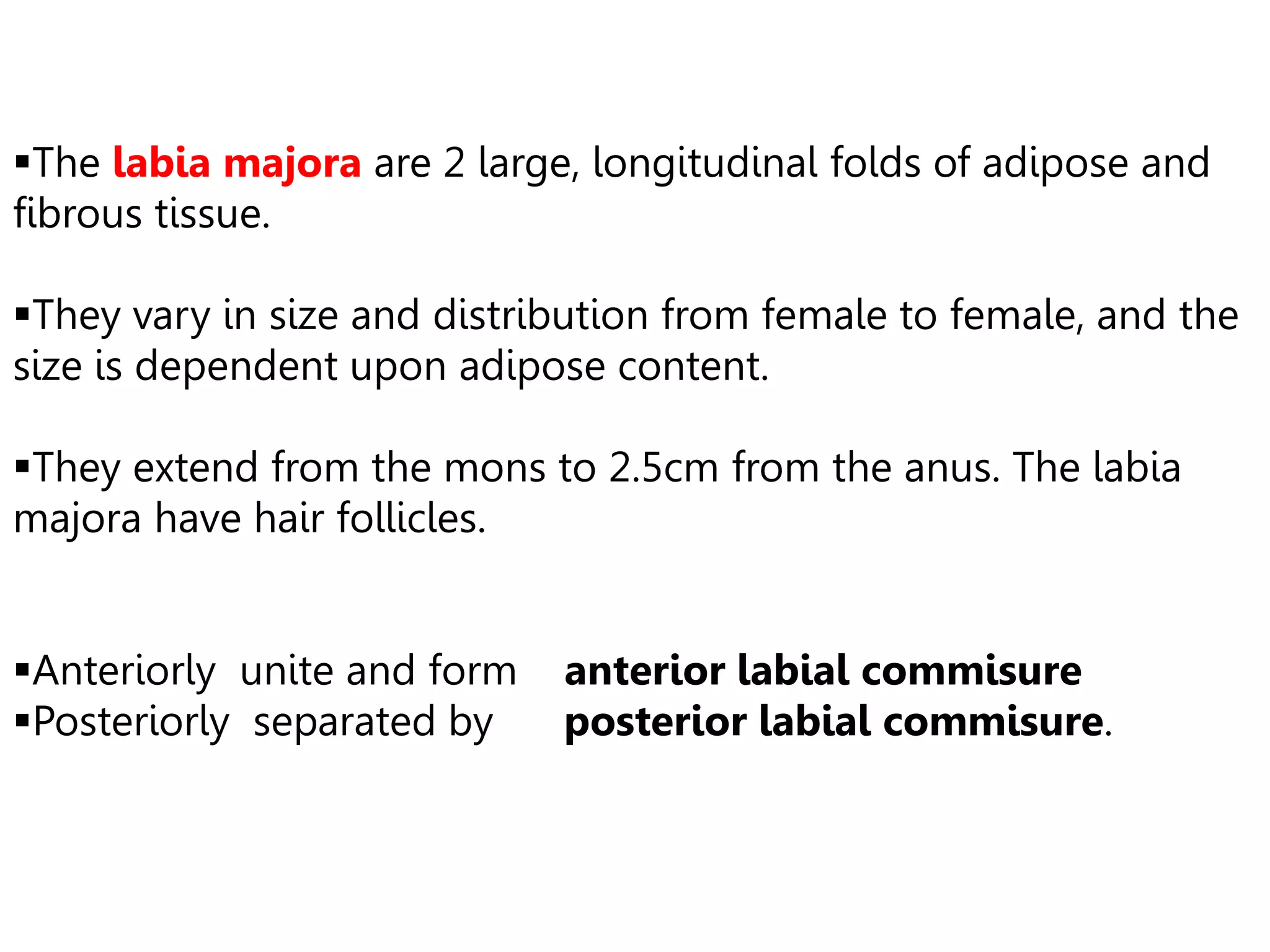Anatomy of female genital tract | PPTX