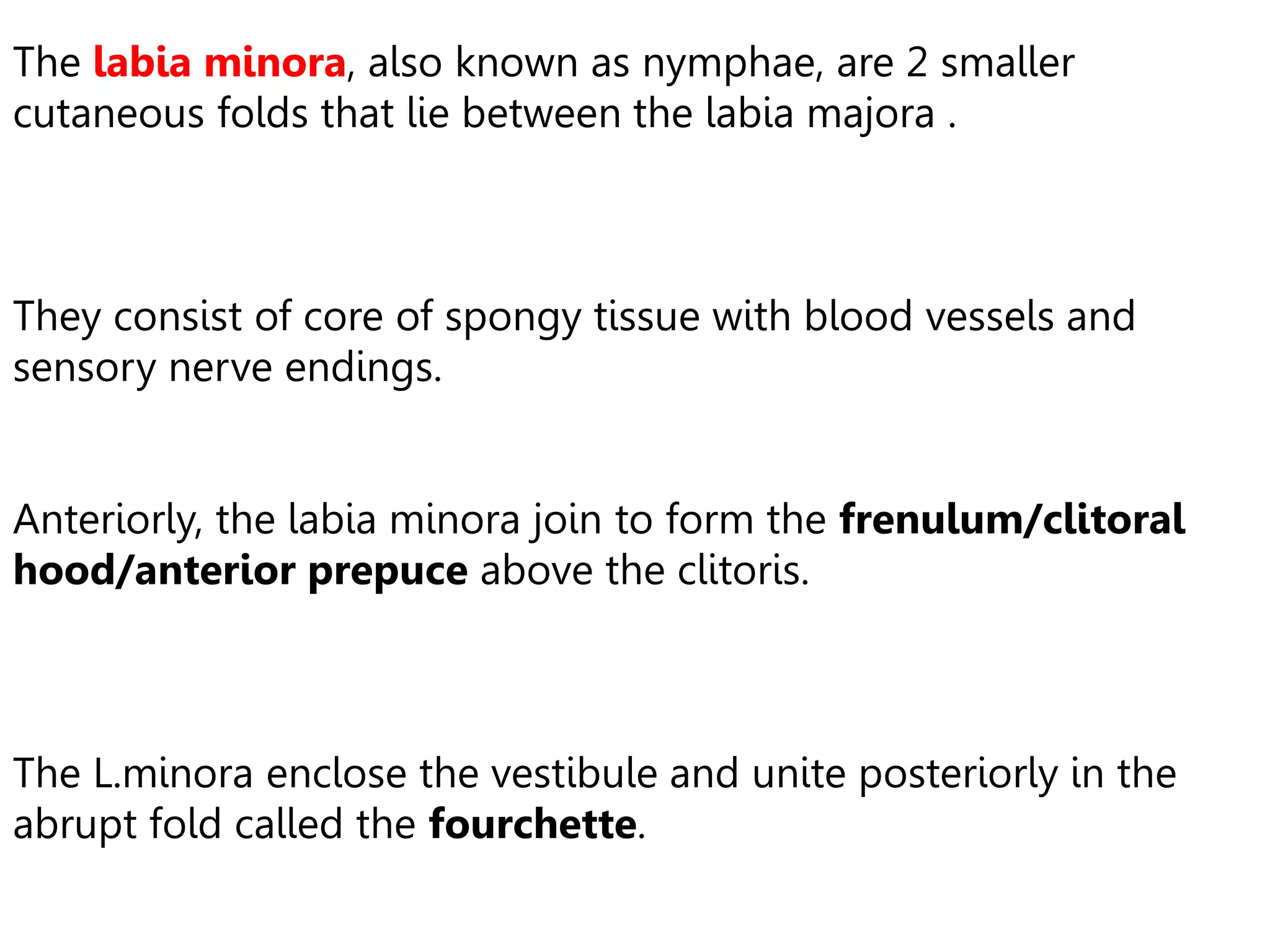 Anatomy of female genital tract | PPTX