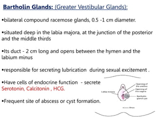 Anatomy of female genital tract | PPTX