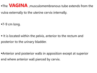 Anatomy of female genital tract | PPTX