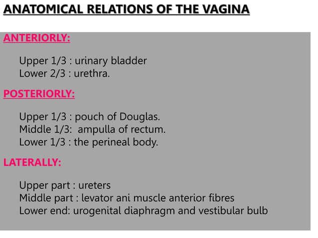 Anatomy of female genital tract | PPTX | Pregnancy | Reproductive Health