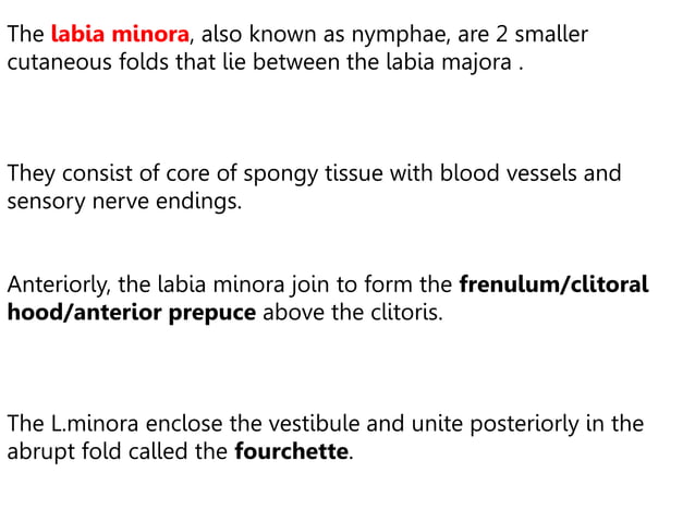 Anatomy of female genital tract | PPTX | Pregnancy | Reproductive Health