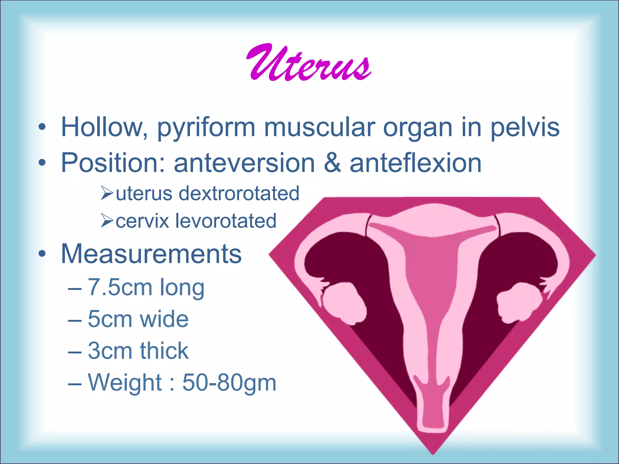 Anatomy of female genital tract | PDF | Pregnancy | Reproductive Health