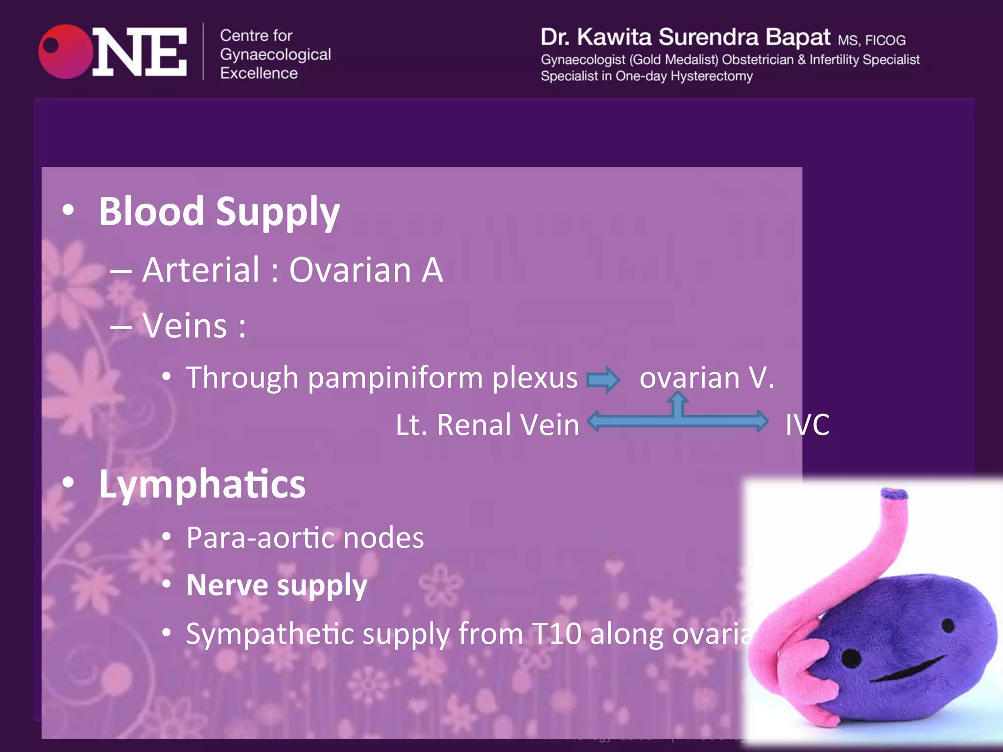 Anatomy of female genital tract | PDF | Pregnancy | Reproductive Health