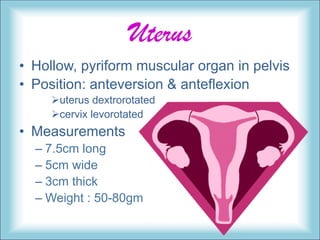 Anatomy of female genital tract | PDF | Pregnancy | Reproductive Health