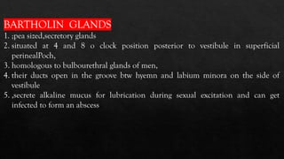 In detail ANATOMY OF FEMALE GENITAL TRACT-2.pptx