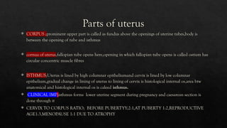 In detail ANATOMY OF FEMALE GENITAL TRACT-2.pptx