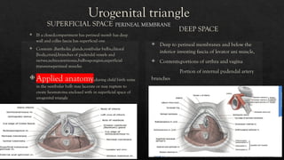 In detail ANATOMY OF FEMALE GENITAL TRACT-2.pptx