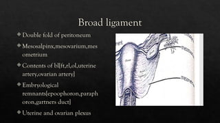 In detail ANATOMY OF FEMALE GENITAL TRACT-2.pptx