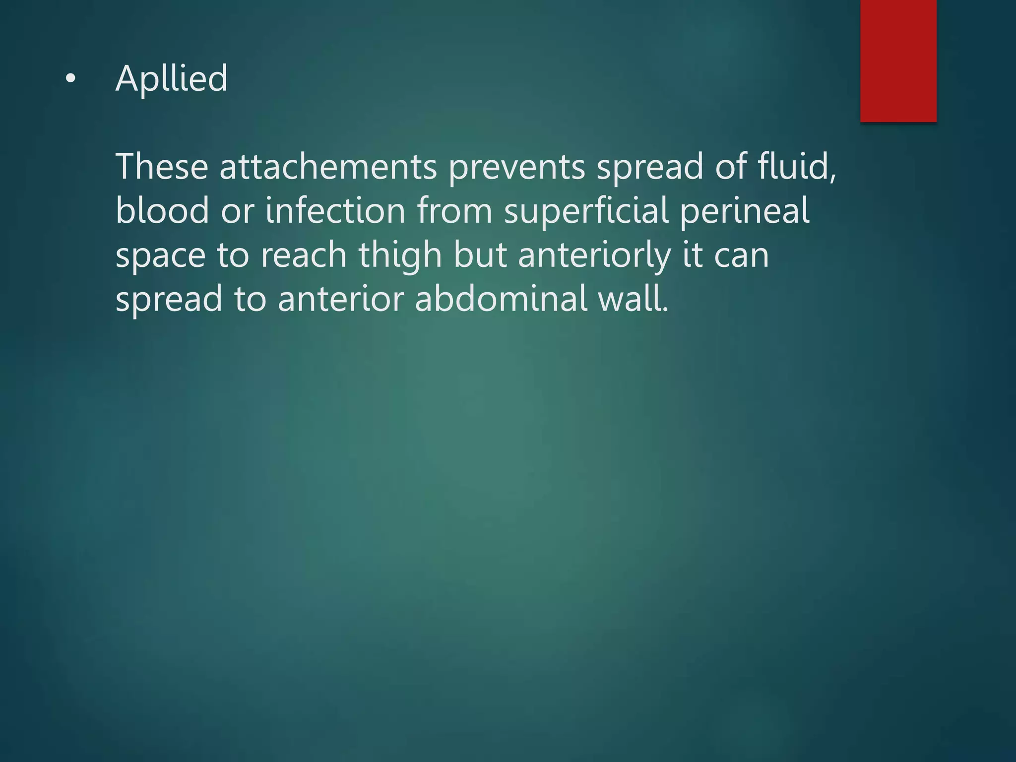 anatomy of female genital tract.pptx