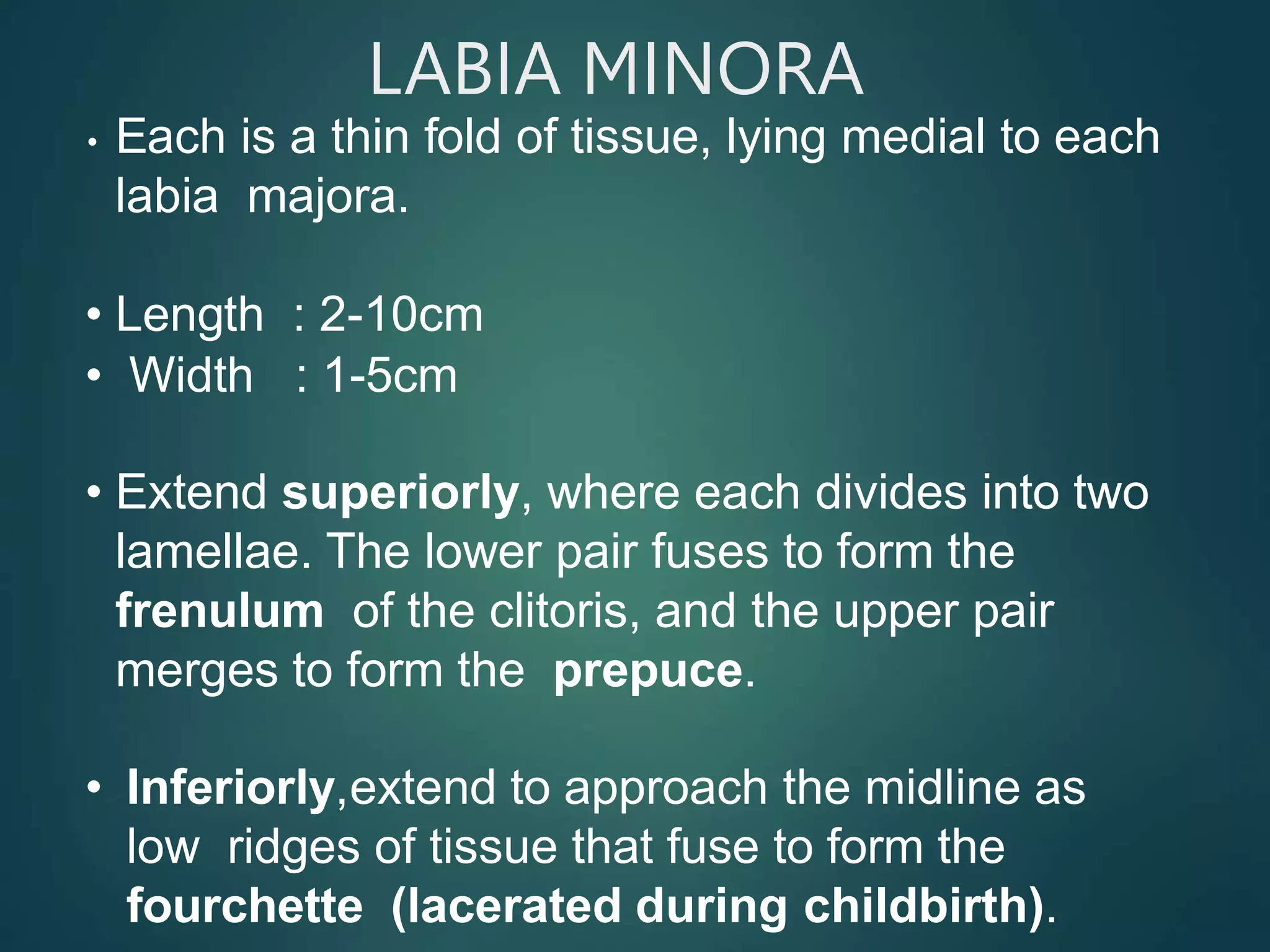 anatomy of female genital tract.pptx