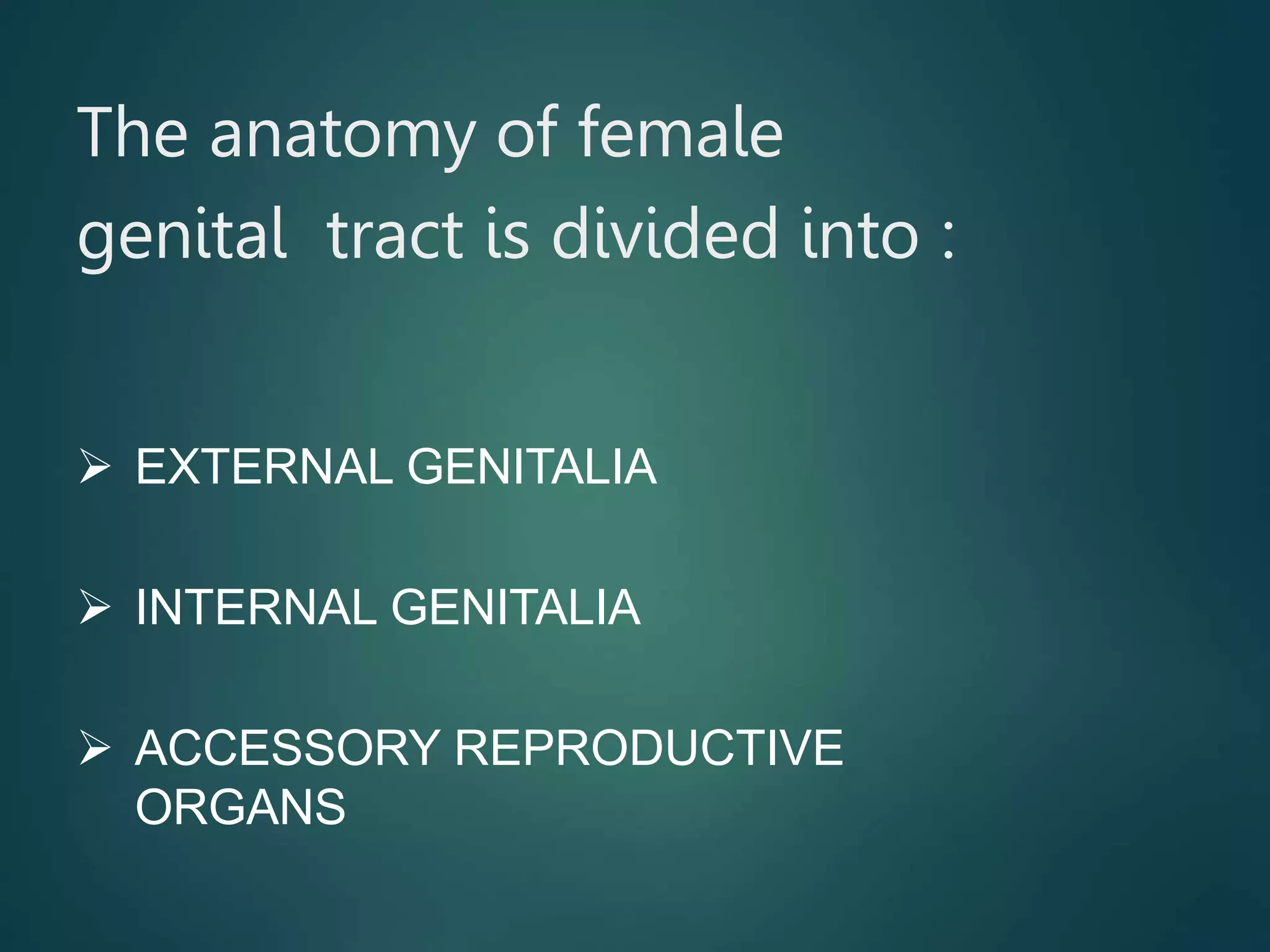 anatomy of female genital tract.pptx
