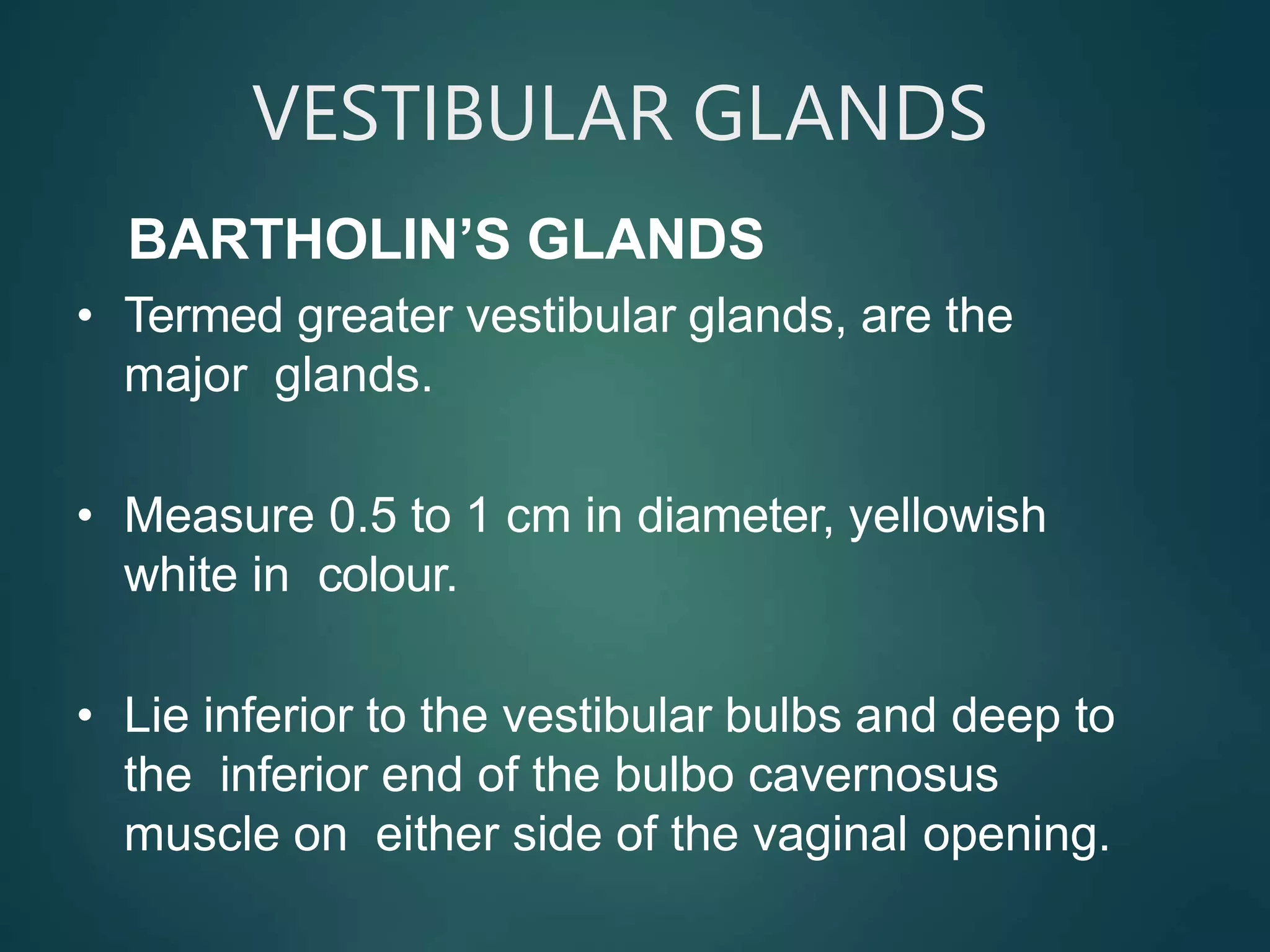 anatomy of female genital tract.pptx