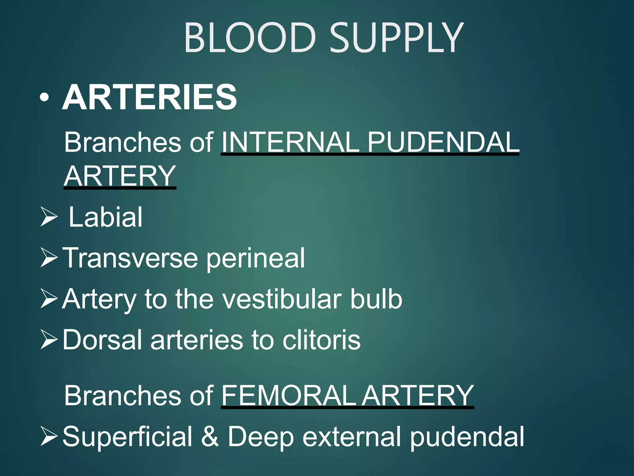 anatomy of female genital tract.pptx