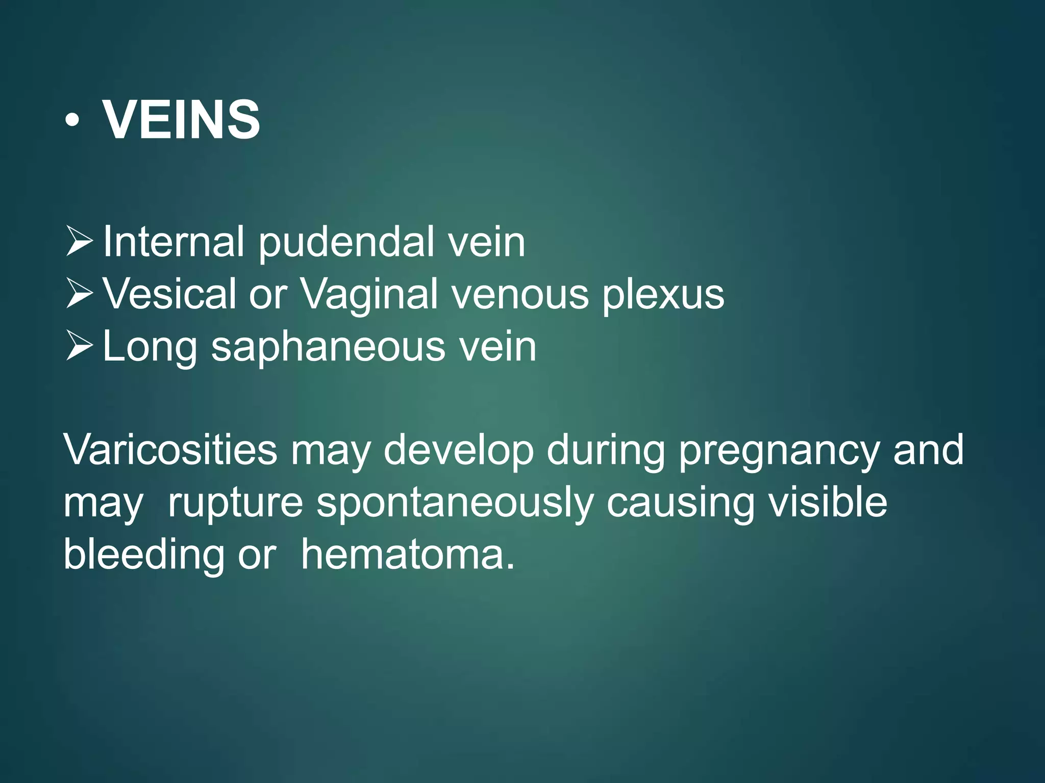 anatomy of female genital tract.pptx