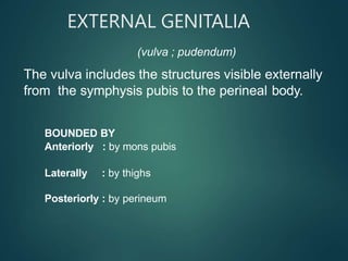 anatomy of female genital tract.pptx