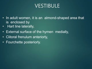 anatomy of female genital tract.pptx