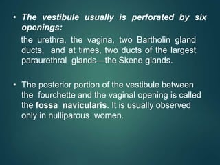 anatomy of female genital tract.pptx