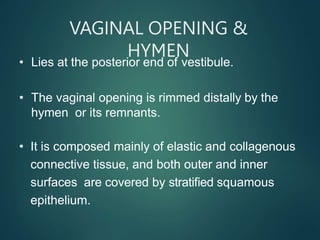 anatomy of female genital tract.pptx