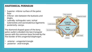 ANATOMY OF FEMALE GENITAL TRACT - OBSTETRICS | PPTX