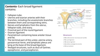 ANATOMY OF FEMALE GENITAL TRACT - OBSTETRICS | PPTX