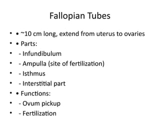 Anatomy_of_Female_Genital_Tract_DC_Dutta.pptx