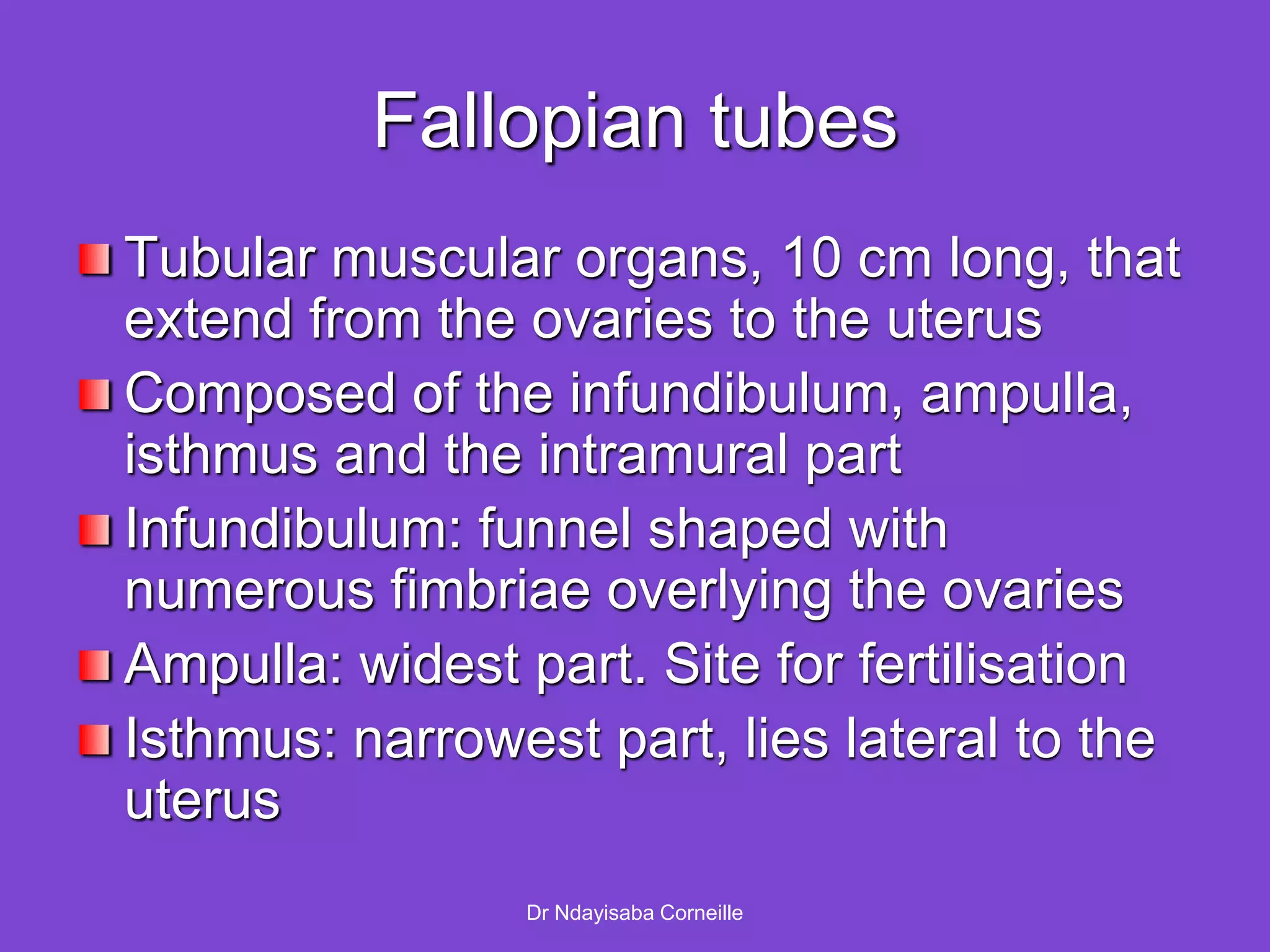 Anatomy of Female internal genitalia.pptx