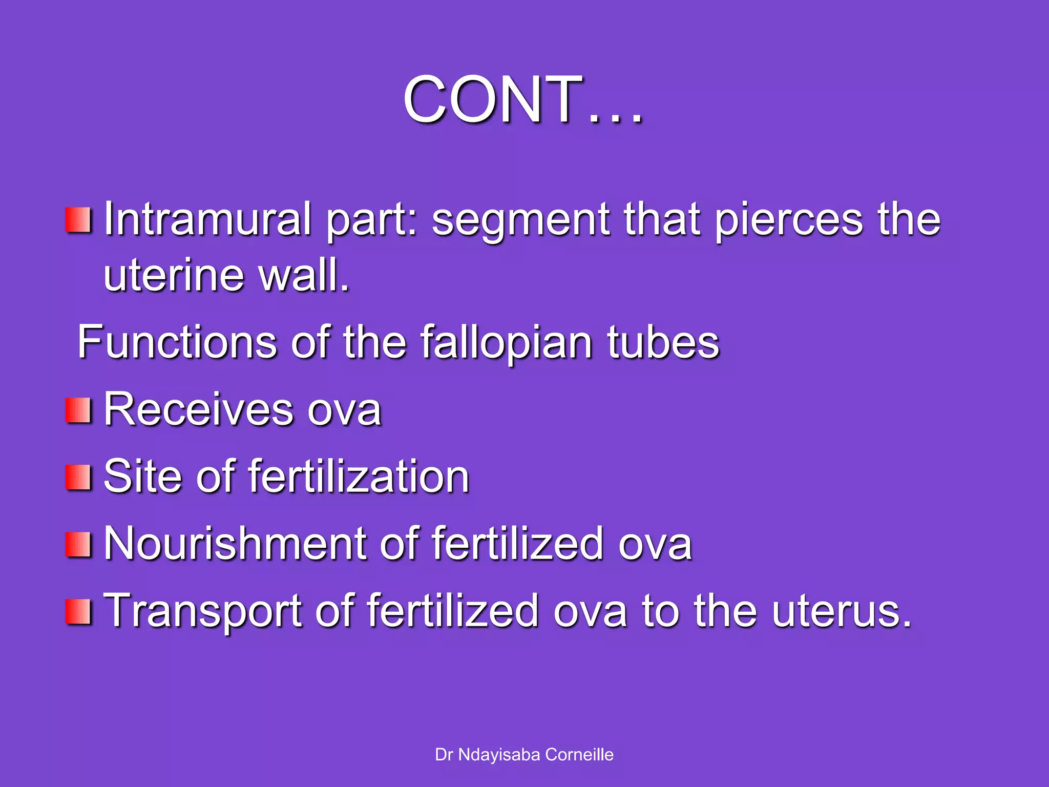 Anatomy of Female internal genitalia.pptx