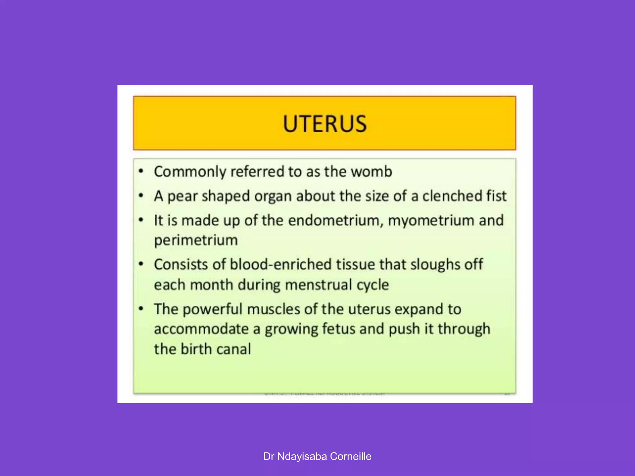 Anatomy of Female internal genitalia.pptx