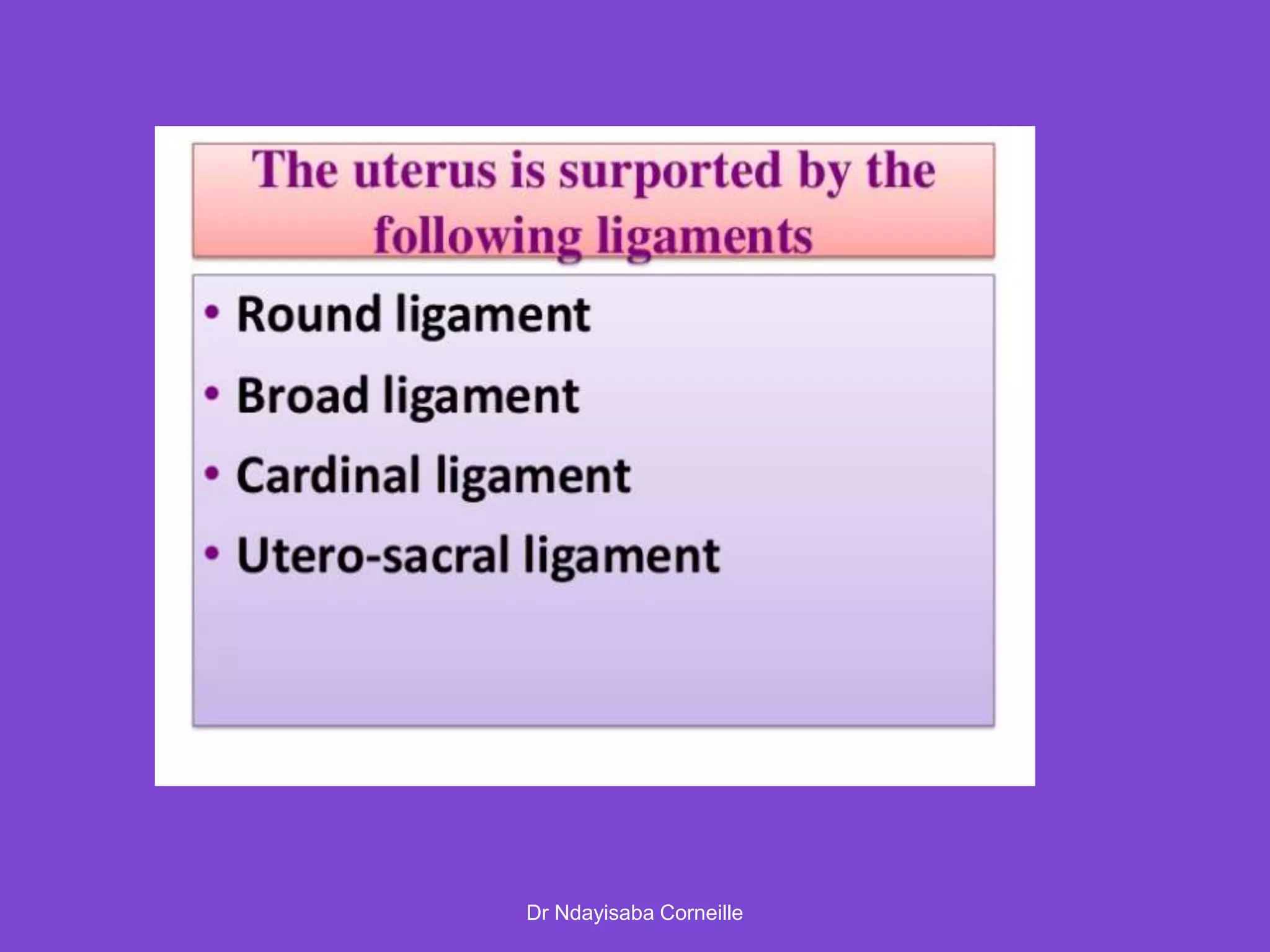 Anatomy of Female internal genitalia.pptx