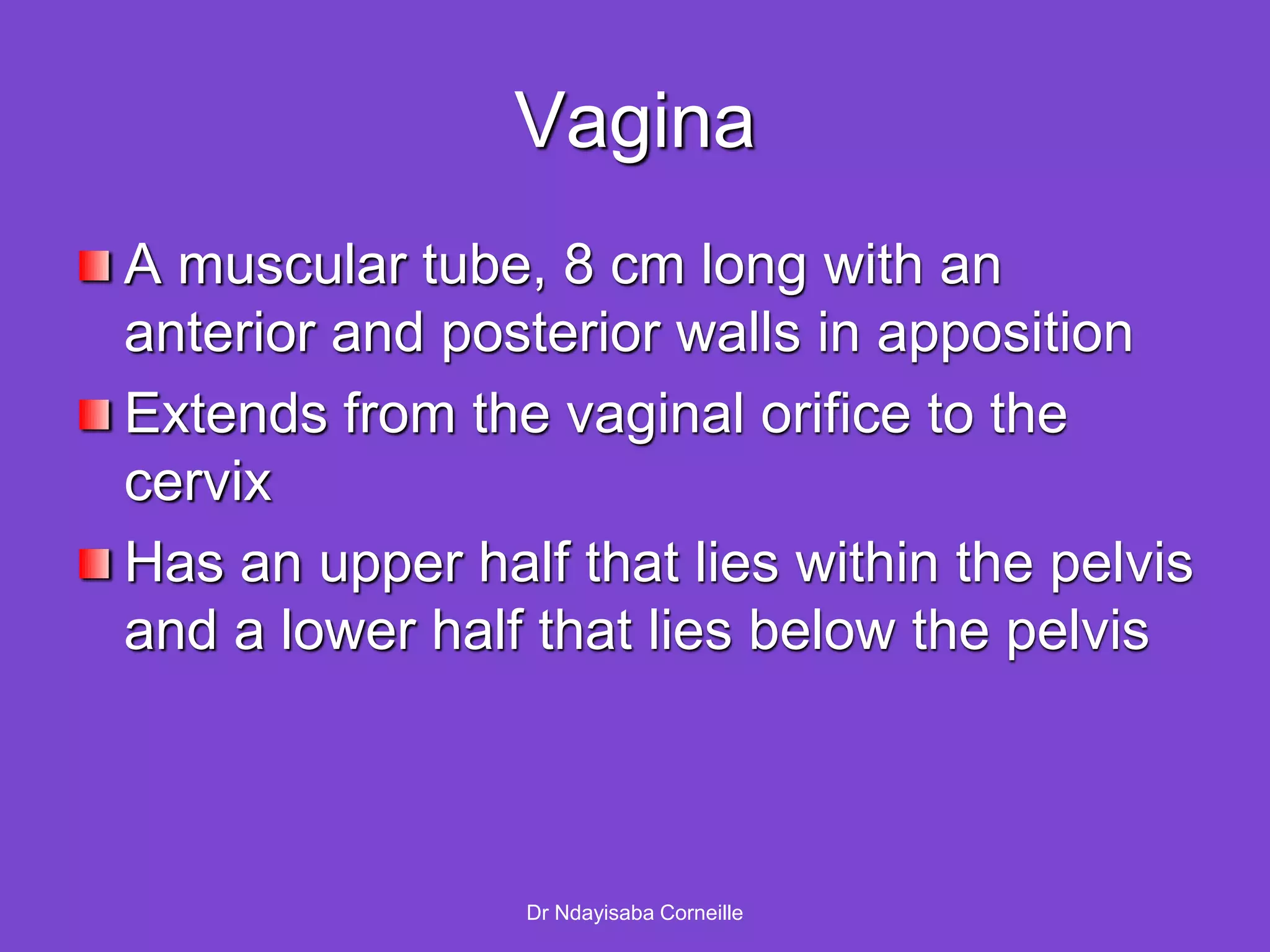 Anatomy of Female internal genitalia.pptx