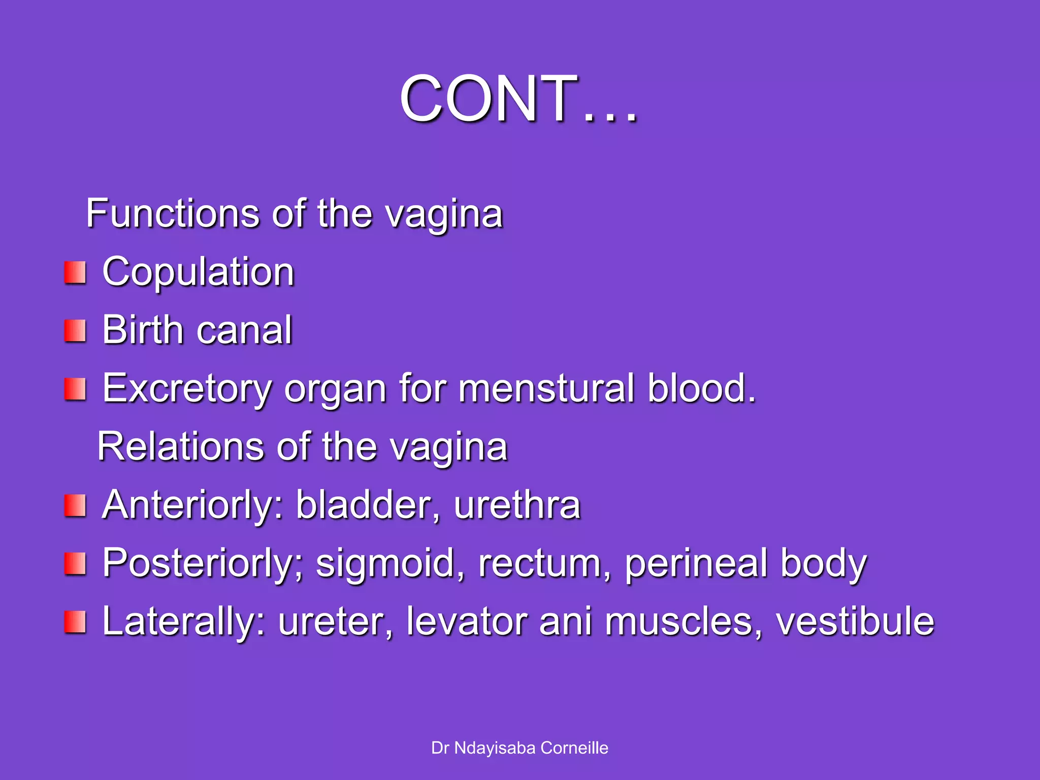 Anatomy of Female internal genitalia.pptx