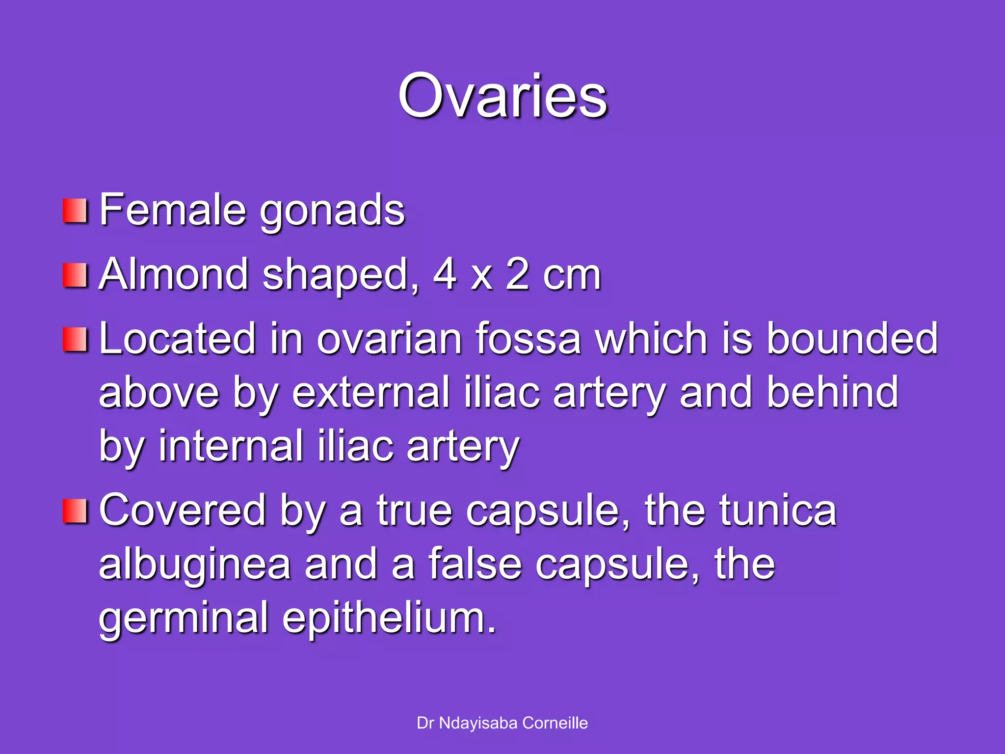 Anatomy of Female internal genitalia.pptx