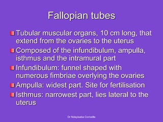 Anatomy of Female internal genitalia.pptx