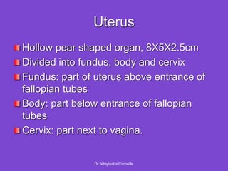 Anatomy of Female internal genitalia.pptx