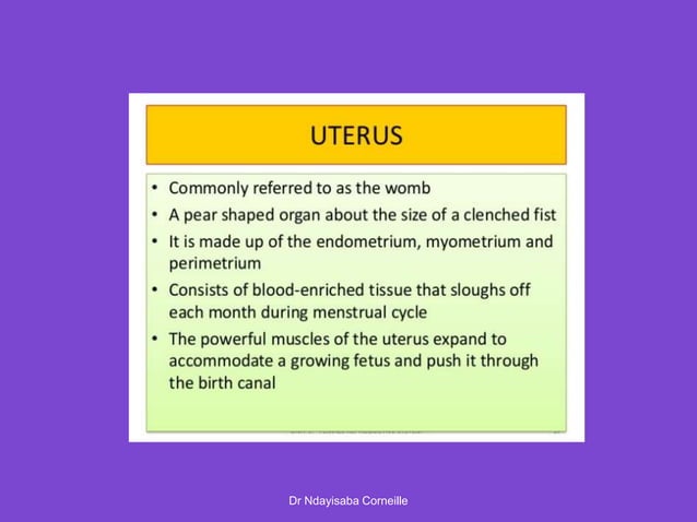Anatomy of Female internal genitalia.pptx
