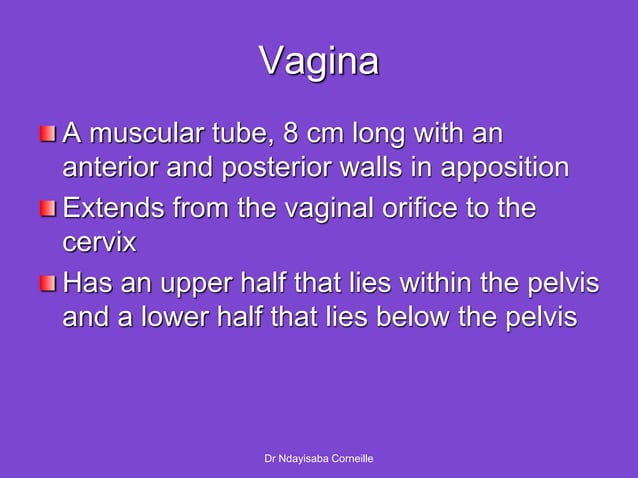Anatomy of Female internal genitalia.pptx