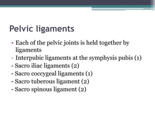 ANATOMY OF FEMALE PELVIS.pptx