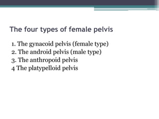 ANATOMY OF FEMALE PELVIS.pptx