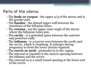 ANATOMY OF FEMALE PELVIS.pptx